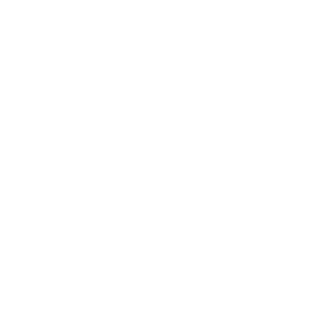 Best Veterinary Hospital In Downers Grove, IL 60561 | Finan Animal Hospital