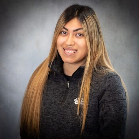 Veterinarian In Downers Grove, IL 60561 | Finan Animal Hospital